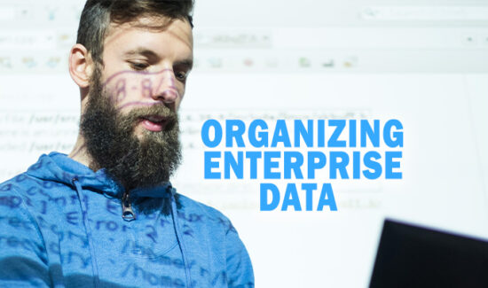 Agile Data Governance Framework: Practical Methods to Consider