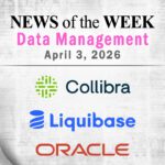 Data Management Officer Responsibilities Introduction
