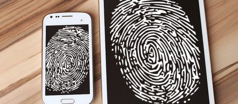 Princeton Identity Introduces Biometric Solution - Best Identity Access ...