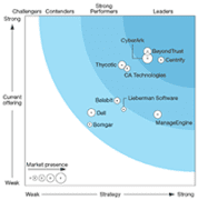Key Takeaways From Forrester’s 2016 Privileged Identity Management (PIM ...